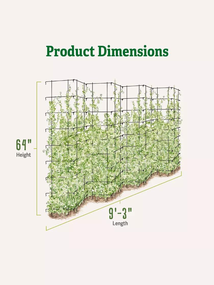 Pea Trellis Height Official Site | clc.cet.edu