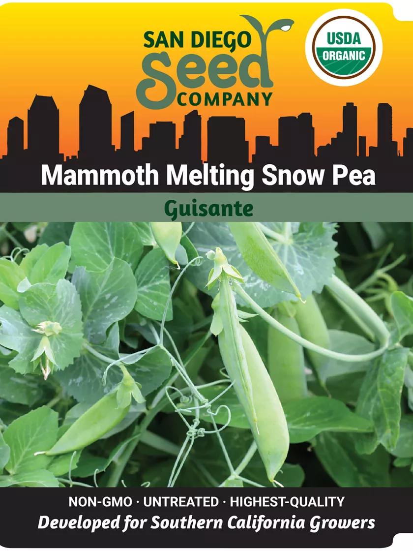 Mammoth Melting Snow Pea Organic Seeds | Gardener's Supply