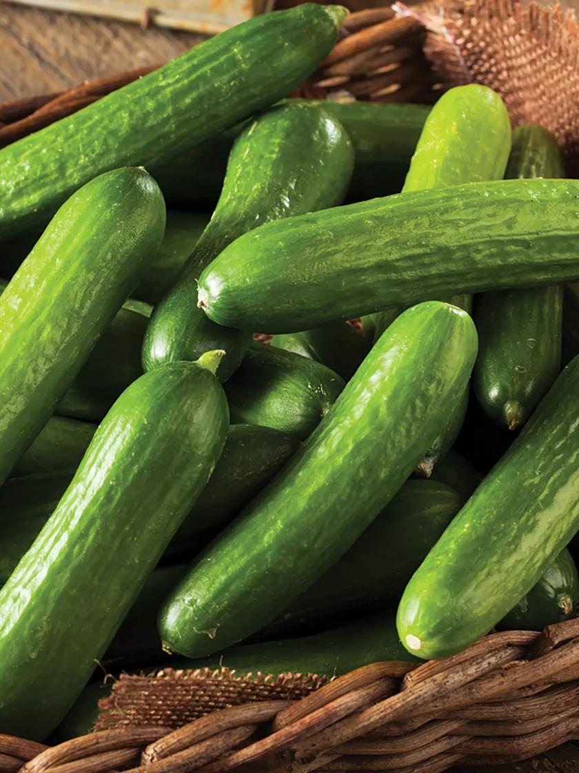 Muncher Cucumber Organic Seeds | Gardener's Supply