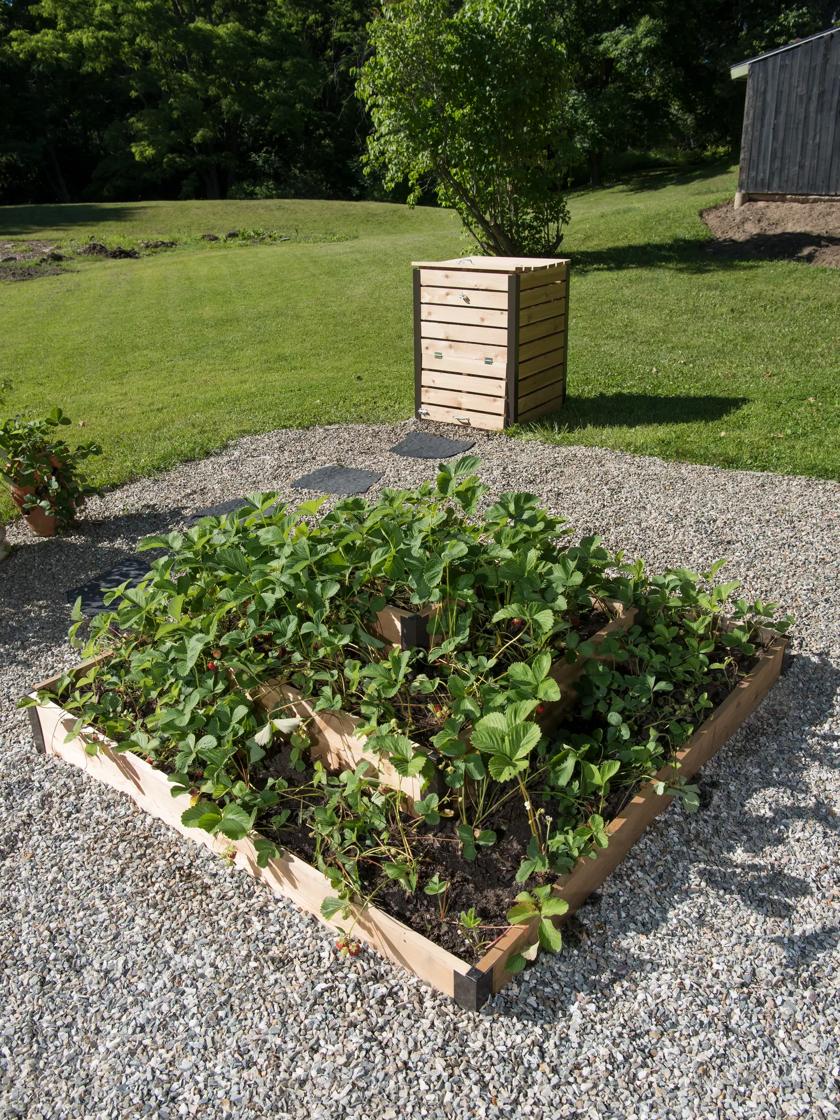 3 Tier Strawberry Raised Bed